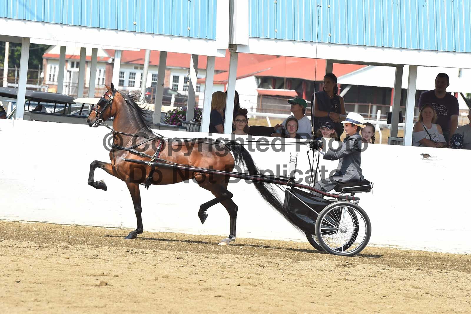 Saturday Morning 9:00am. - Classes #84-100 - Horse Show Proofs - 2019 ...