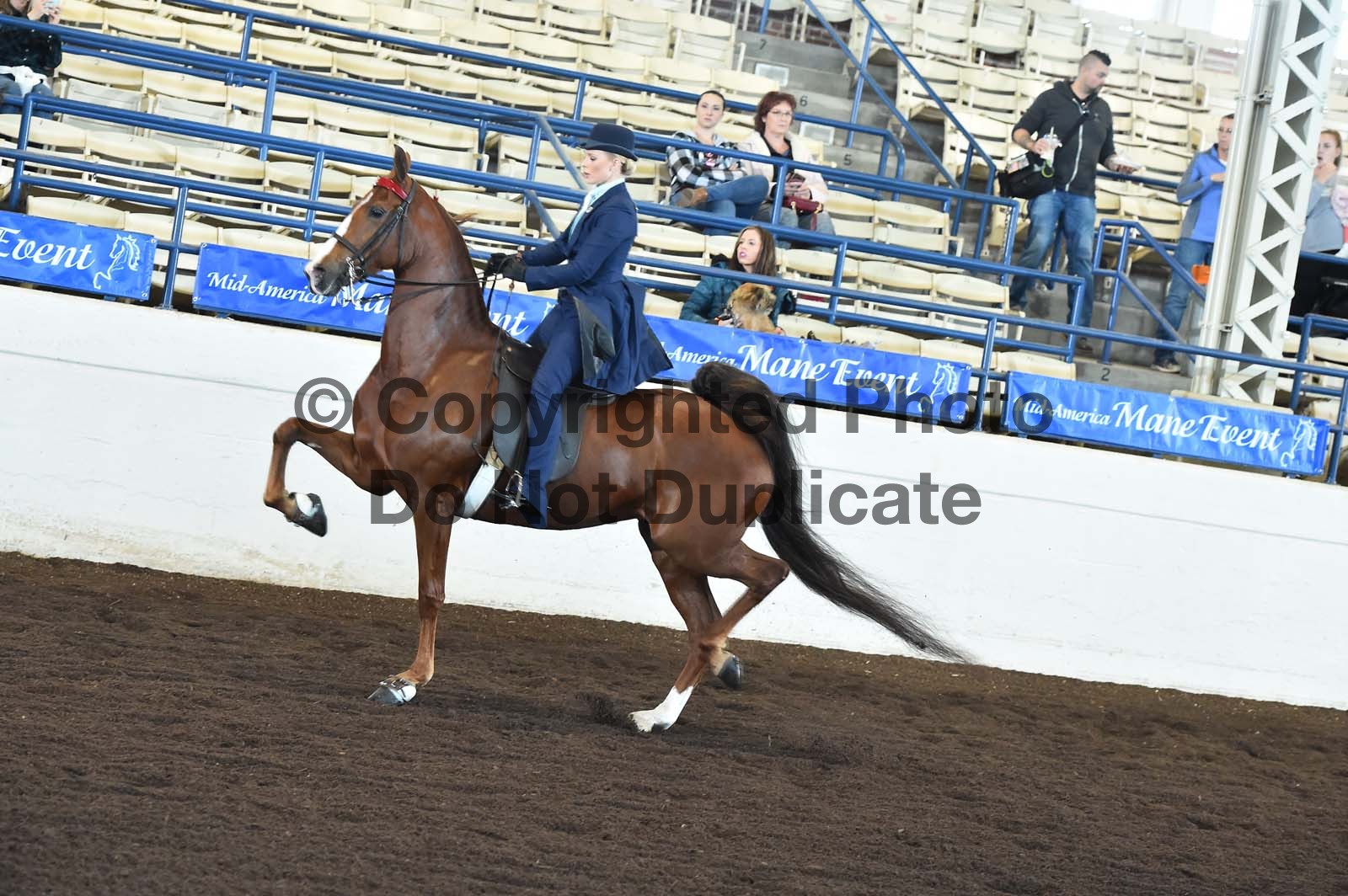 Sunday Morning 9:00am Classes #103-126 - Horse Show Proofs - 2019 - Y ...