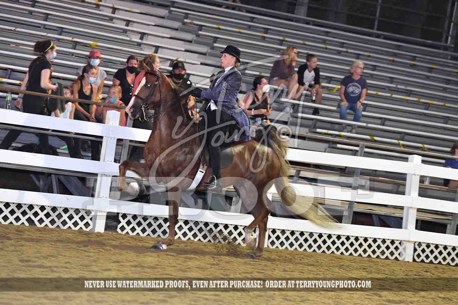 Sat Night 6:30pm - Classes #152 - 169 - Horse Show Proofs - 2020 - B ...