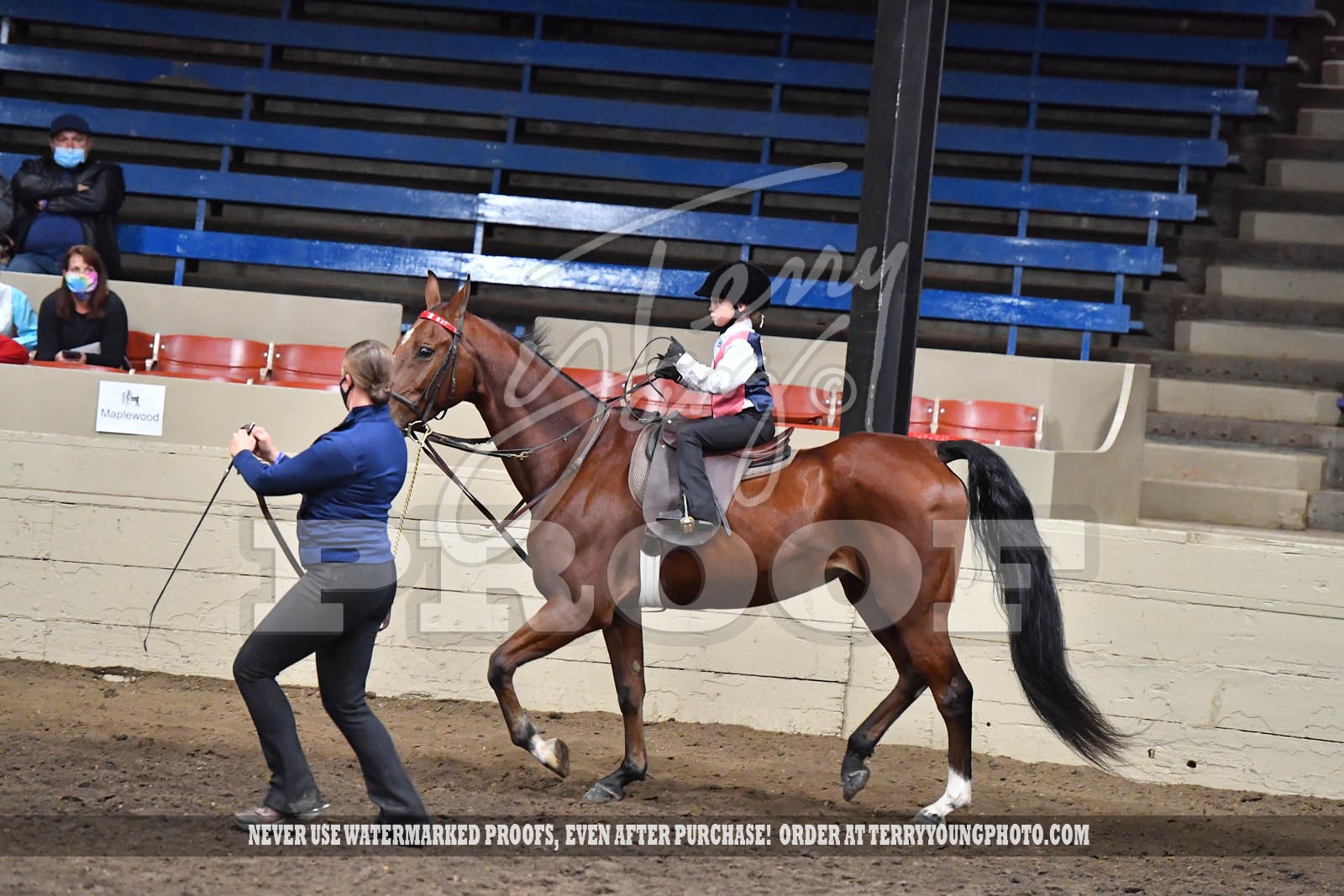 Sat. Evening 6:00pm - Classes #100-124 - Horse Show Proofs - 2020 - E ...
