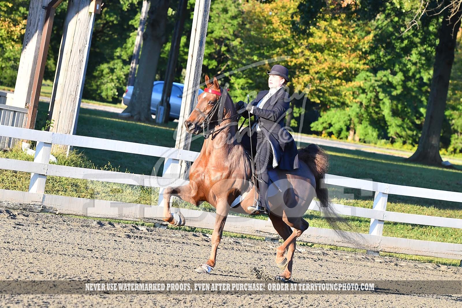 Sat. Evening - Classes #152-169 - Horse Show Proofs - 2020 - G.) Sept ...