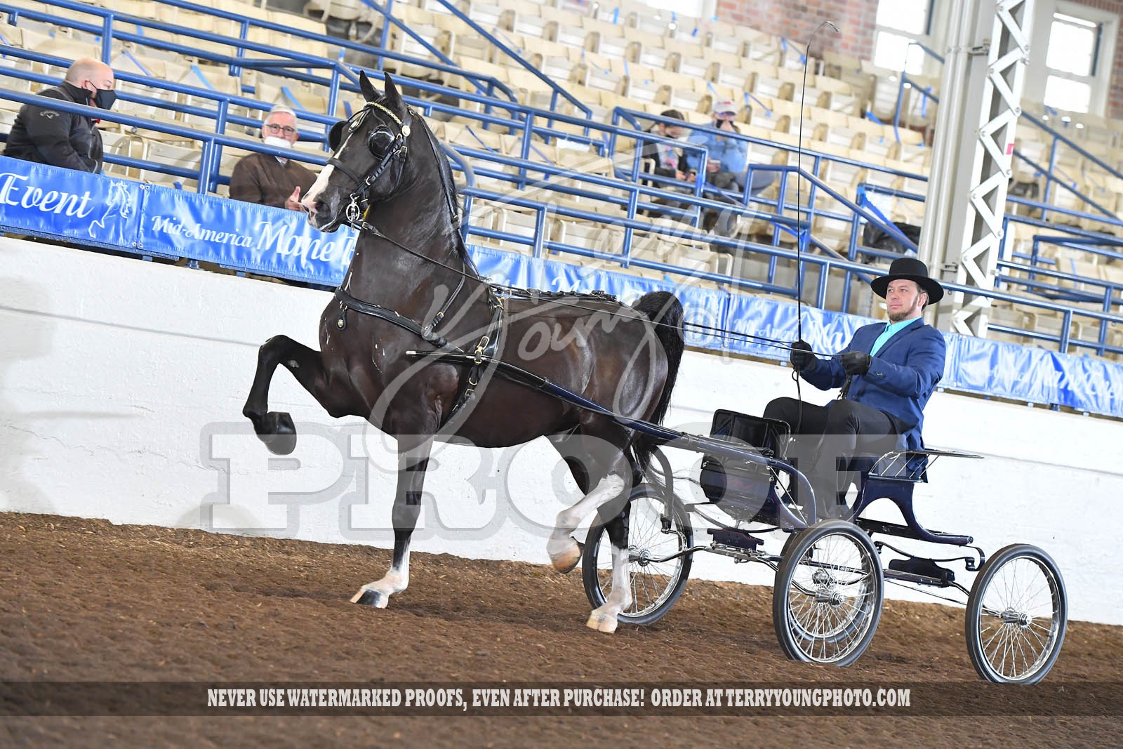 Thursday Morning 10:00am - Classes #01-20 - Horse Show Proofs - 2020 ...