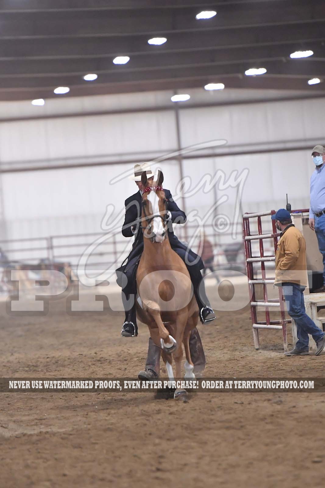 Sunday Morning 9:00am - Classes #108-134 - 112.) ASB Three-Gaited Park ...