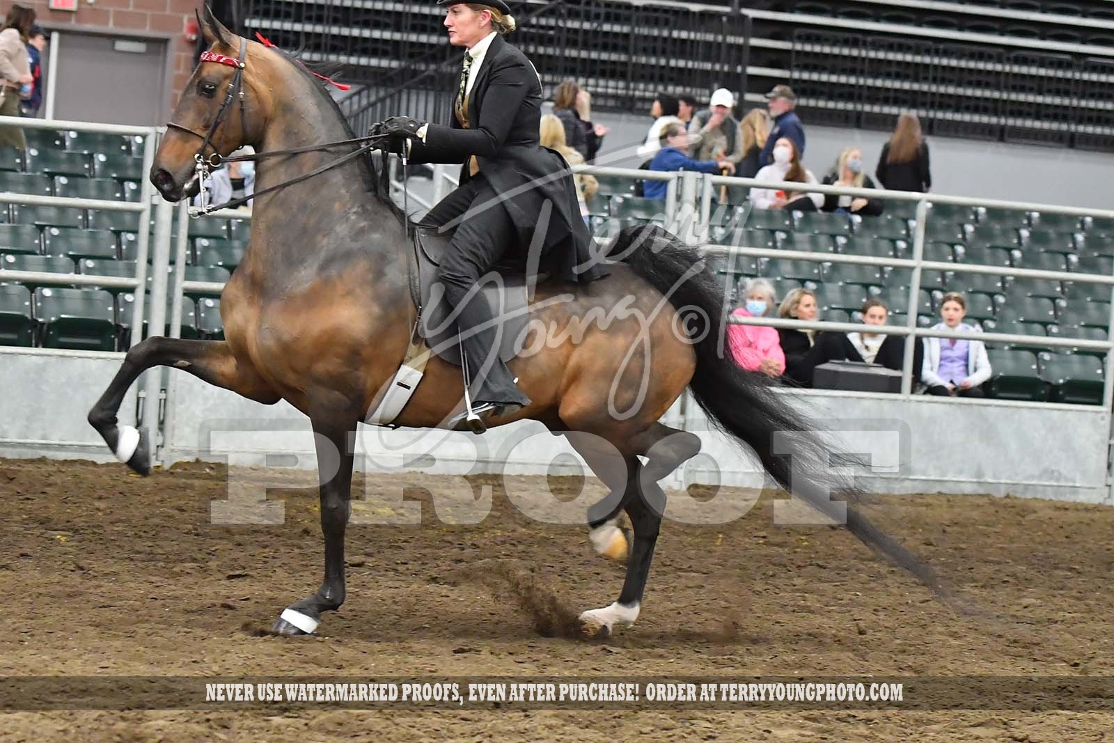 Thur. Evening 6:00pm - Classes #14-33 - Horse Show Proofs - 2021 - D ...