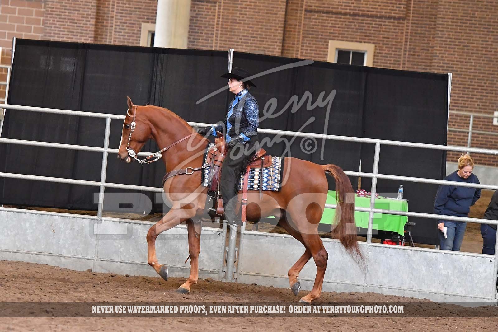 Fri. Morn 10:00am - Classes #34-50 - Horse Show Proofs - 2021 - D ...