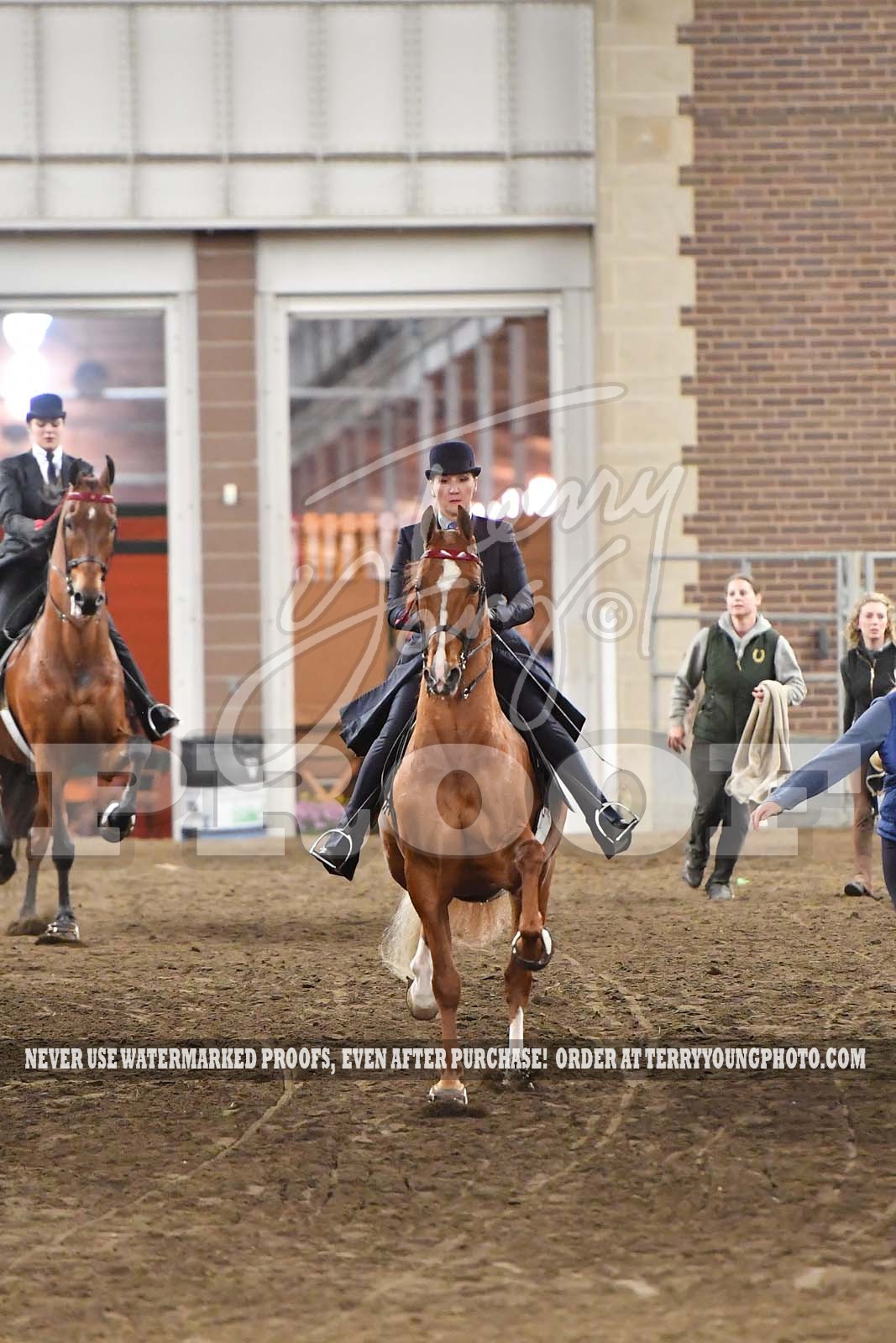 Fri. Evening 6:00pm - Classes #51-66 - Horse Show Proofs - 2021 - D ...