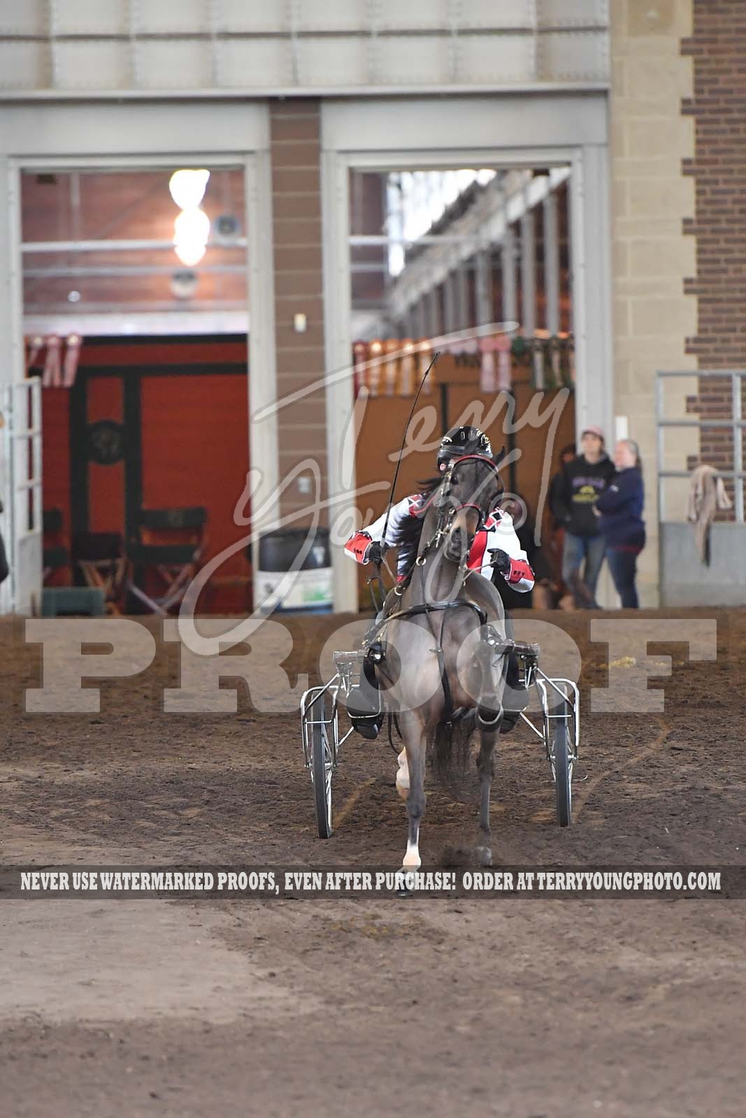 Sat. Afternoon 1:00pm - Classes #82-99 - Horse Show Proofs - 2021 - D ...
