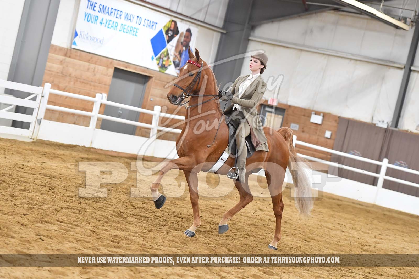 Fri. Noon 1:00pm - Classes #01-20 - 10.) Open Roadster Pony - Horse ...