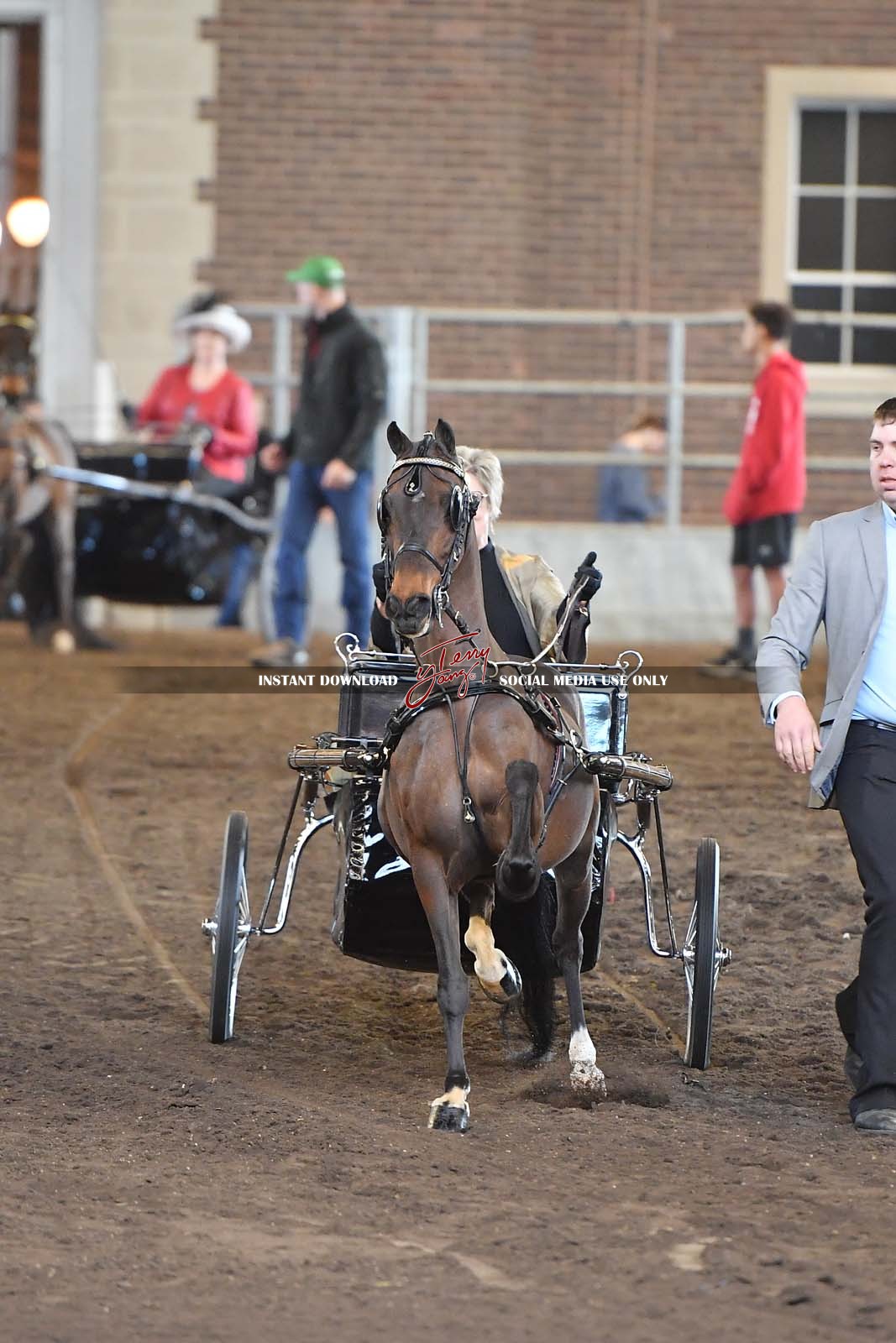 Sun. Morning 10:00am - Classes #121-139 - 130.) Roadster Pony Amateur ...