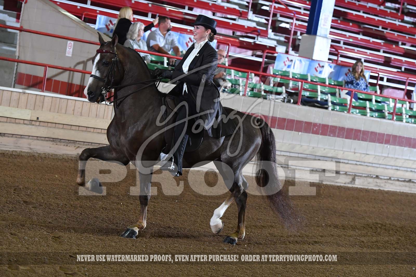 Wed. Evening 7:00pm - Classes #47-61 - 47.) NY Member English Pleasure ...