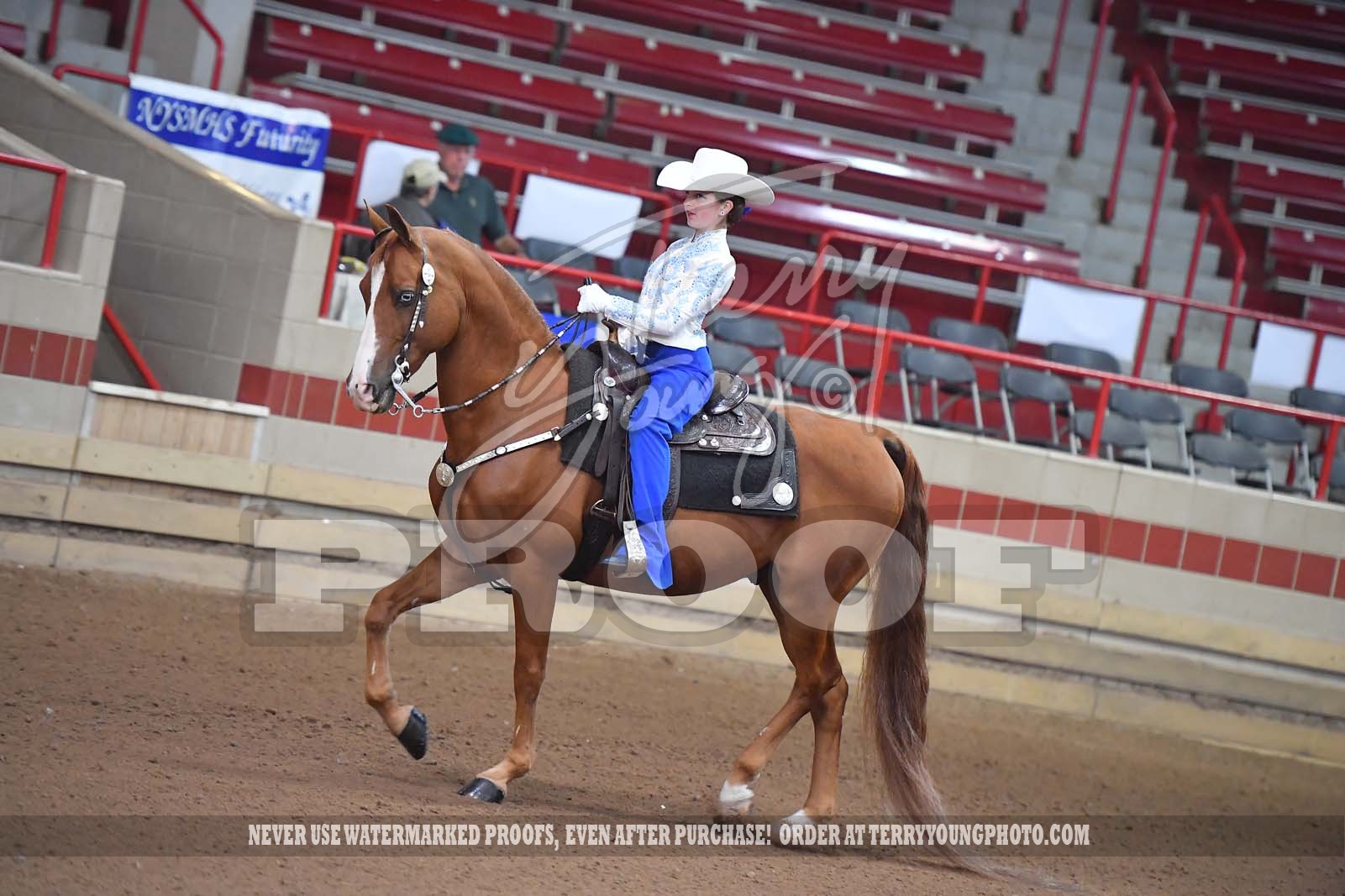 Sat. Morn 9:00am - Classes #144-158 - Horse Show Proofs - 2022 - T.) NY ...