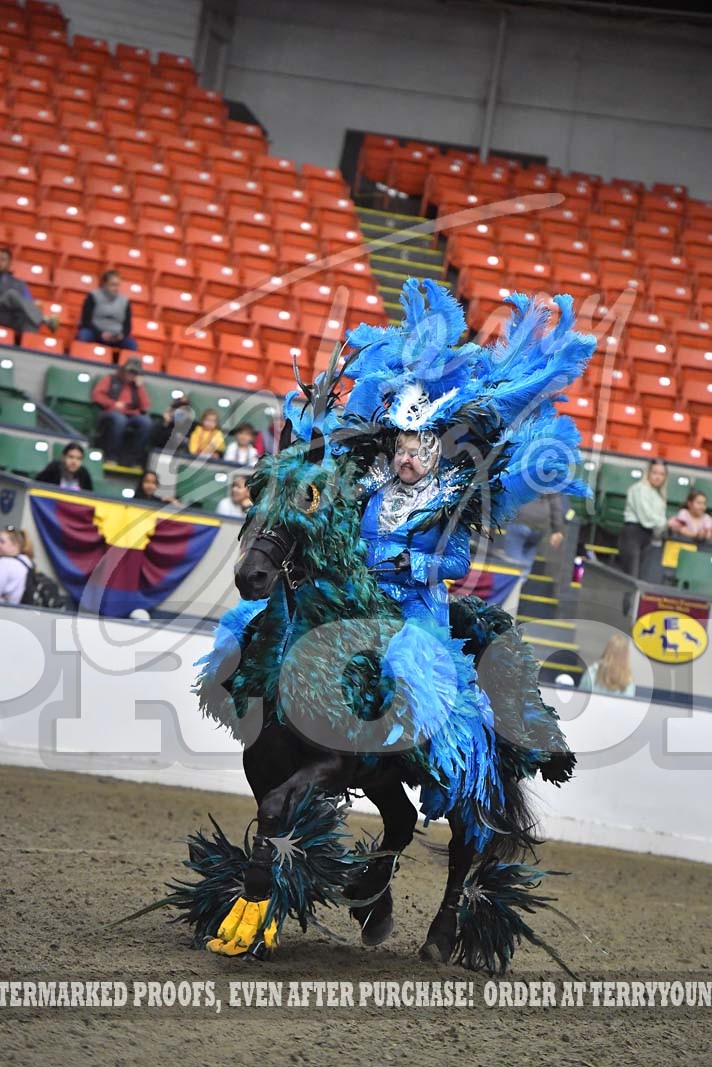 Sat. Noon - 12:00pm - Classes #69-92 - 77.) Walk and Trot Pleasure ...