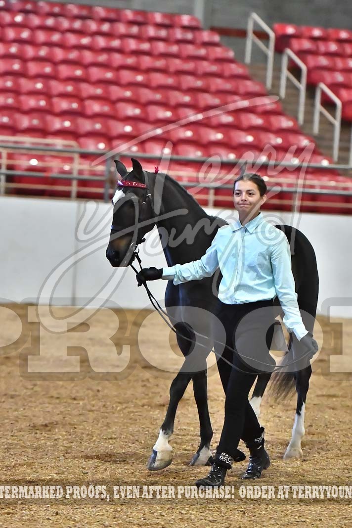 Fri. Morn 10:00am - Classes #25-38A - Horse Show Proofs - 2022 - V ...