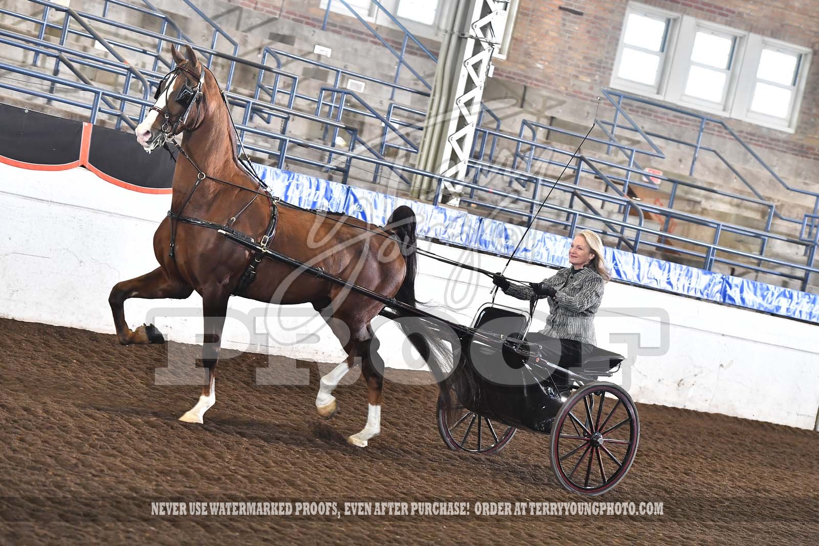 Sun. Morning 9:30am - Classes #99-116 - Horse Show Proofs - 2022 - W ...