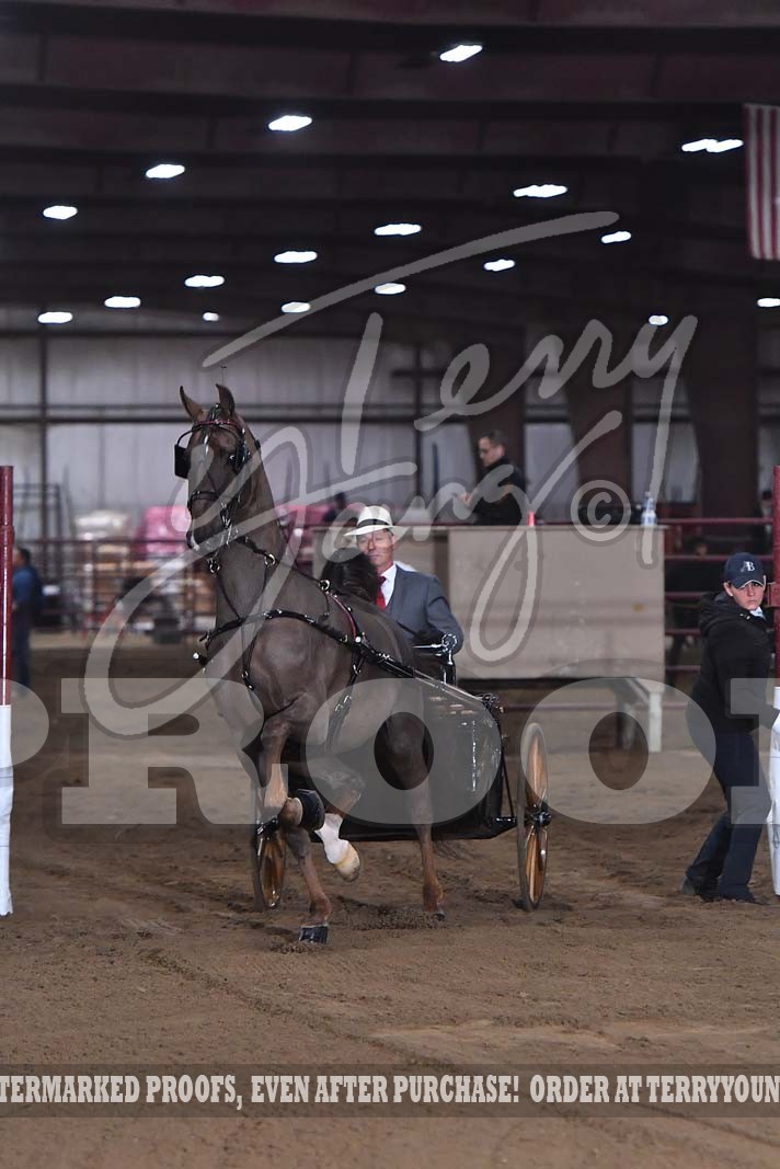 Fri. Afternoon 1:00pm - Classes #01-22.1 - Horse Show Proofs - 2023 - A ...