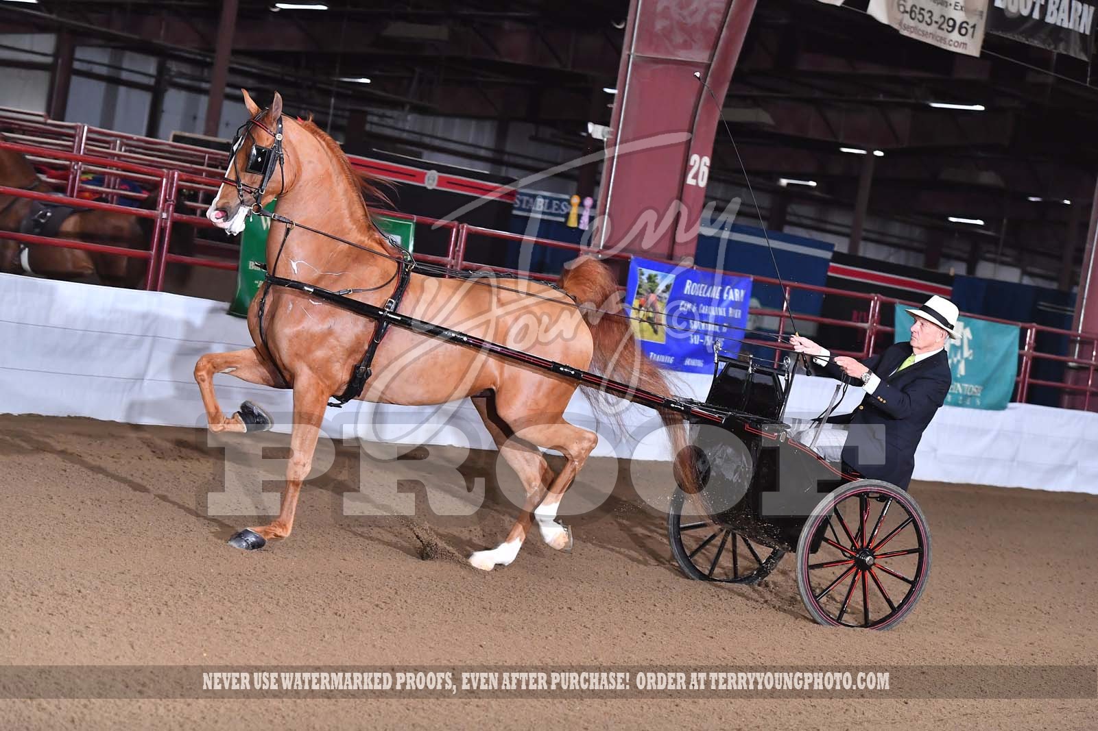 Fri. Evening 6:30pm- Classes #23-45 - Horse Show Proofs - 2023 - A.) IN ...