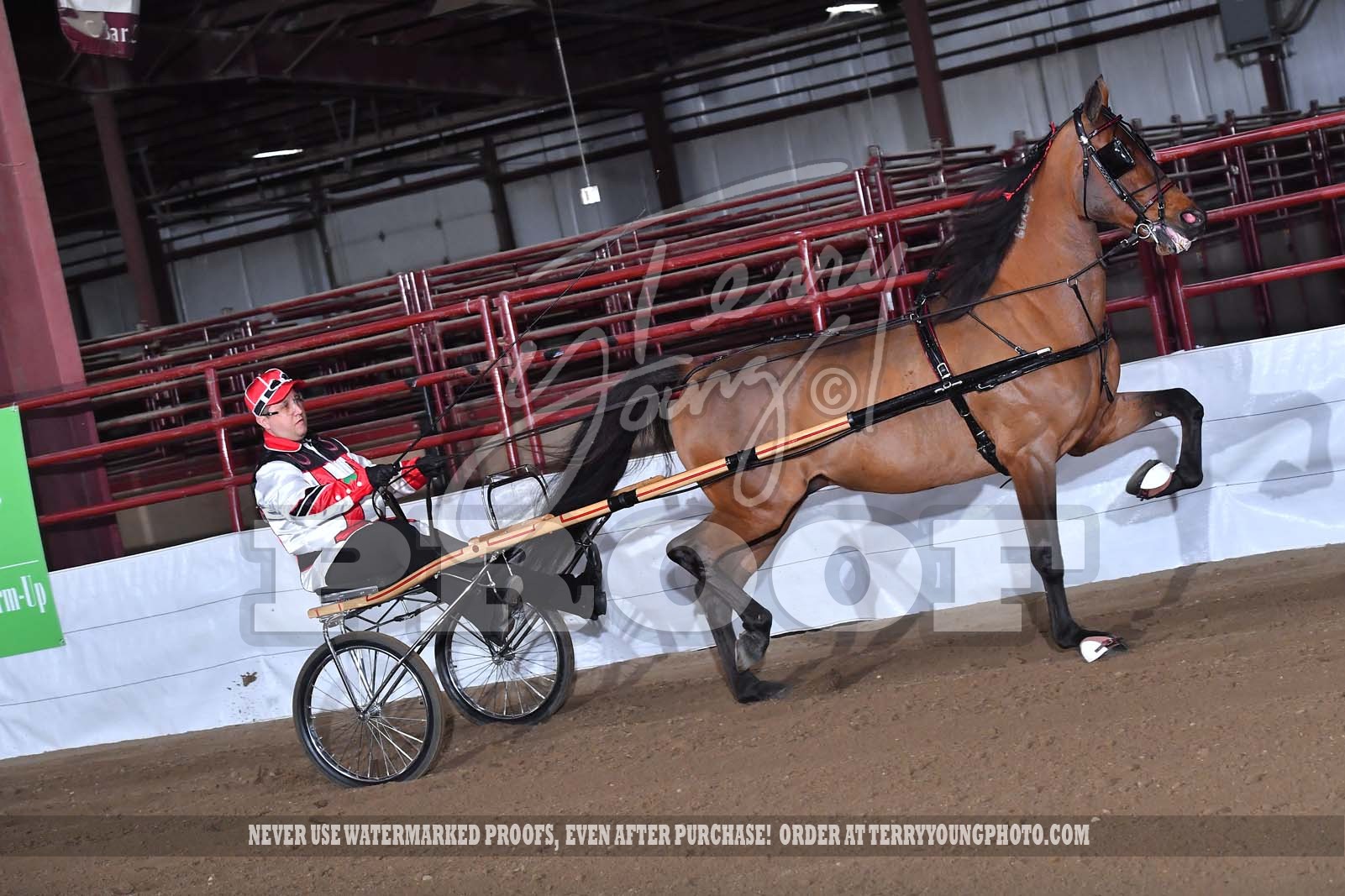 Sun. Morning - 9:00am - Classes #116-139 - Horse Show Proofs - 2023 - A.) IN. Spring warm Up ...