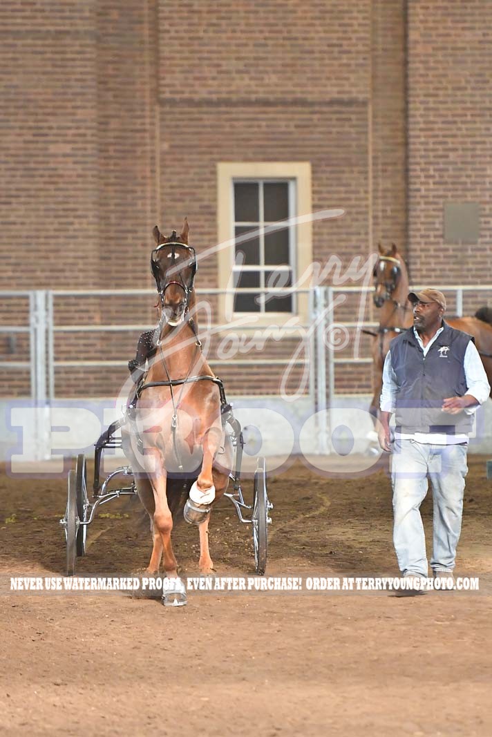 Sat. Evening (Cont.) 6:00pm - Classes #098-120 - Horse Show Proofs ...