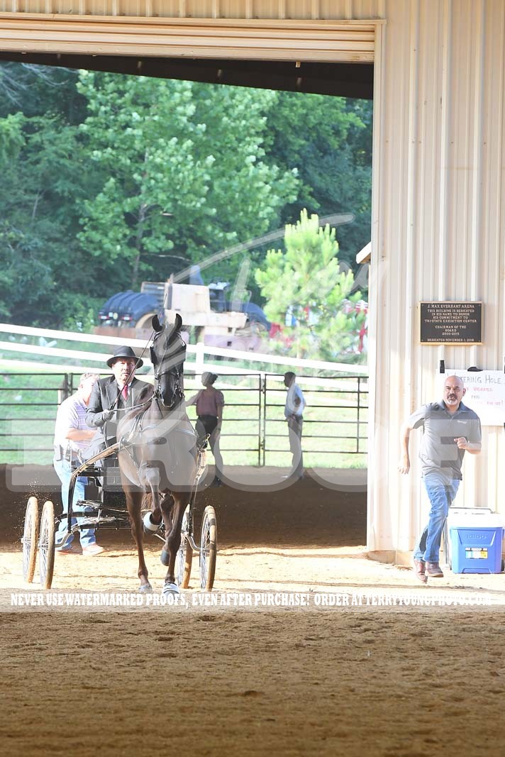 Fri. Evening - 6:30pm- Classes #77-102 - Horse Show Proofs - 2023 - J ...