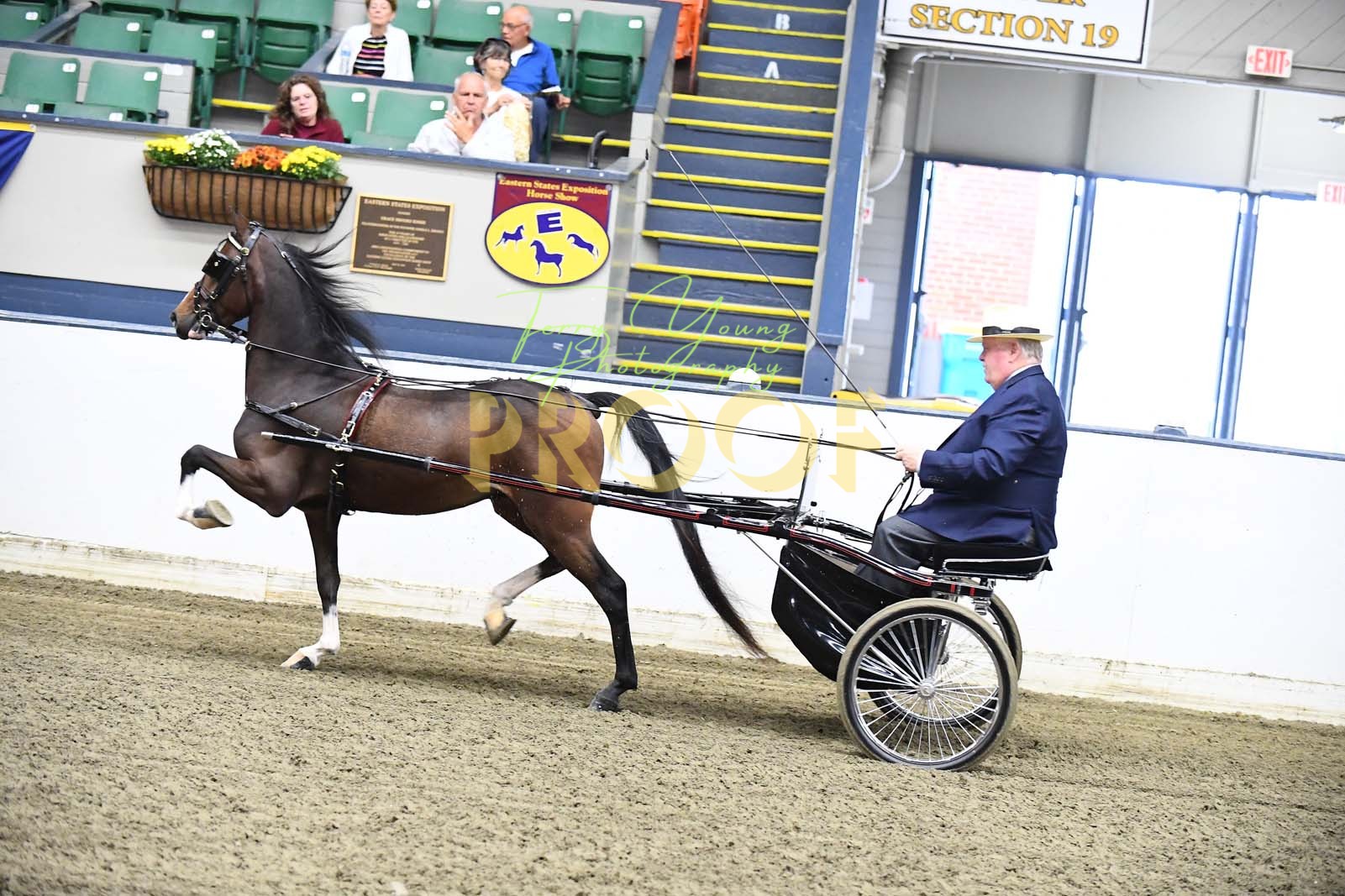 Fri. Noon 12:30pm - Classes #22-44 - Horse Show Proofs - 2023 - S.) The ...