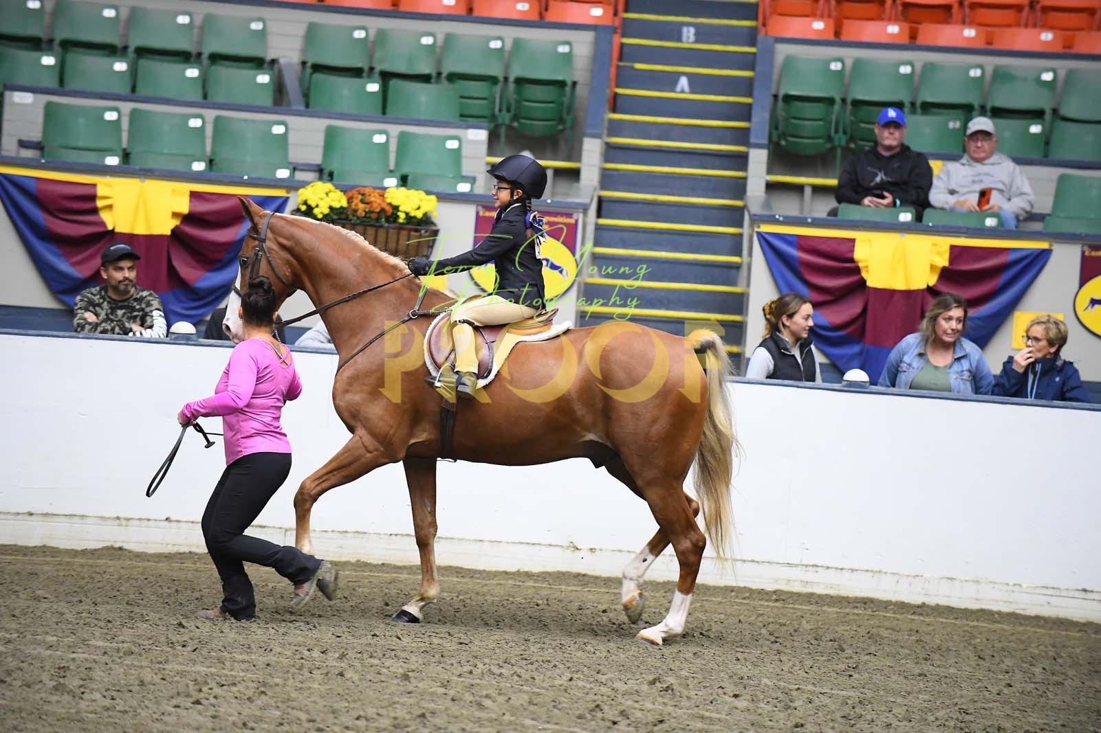 Sun. Morning 11:00am - #117-140 - Horse Show Proofs - 2023 - S.) The ...