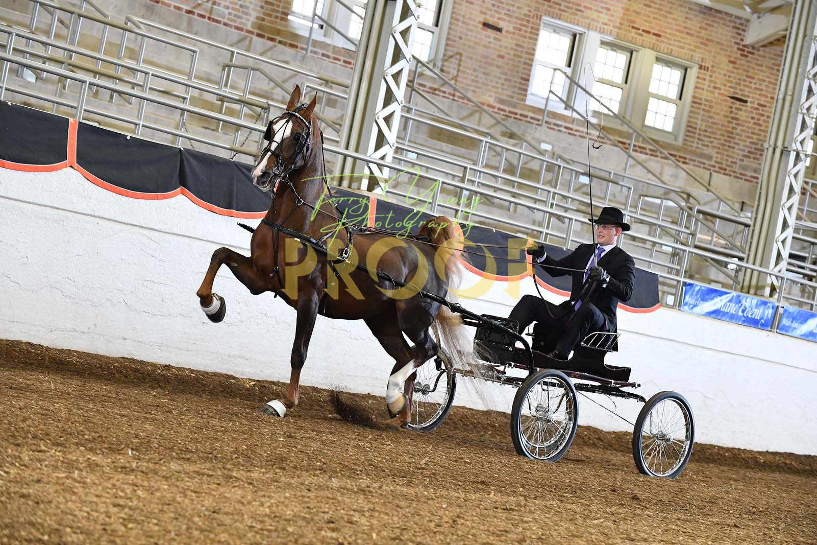 Wed. Evening 6:00pm - Classes #01-18 - Horse Show Proofs - 2023 - U ...