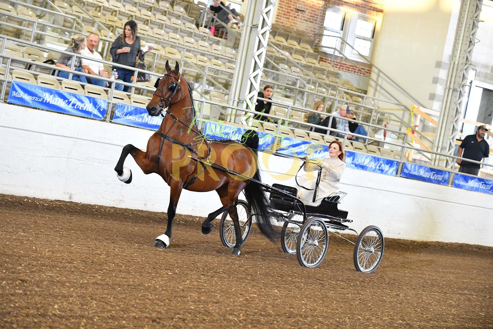 Thur. Evening 6:00pm - Classes #36-54 - Horse Show Proofs - 2023 - U ...