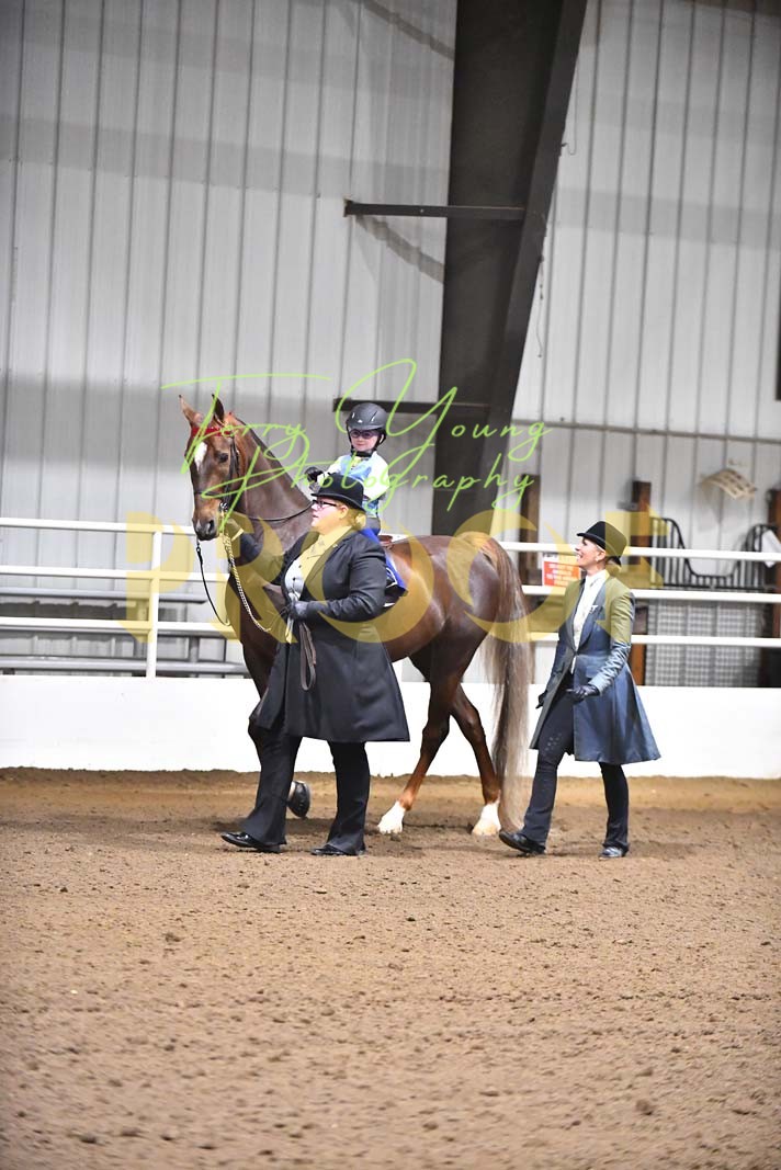 Sat. Evening 6:00pm - Classes #52-73 - Horse Show Proofs - 2024 - B ...