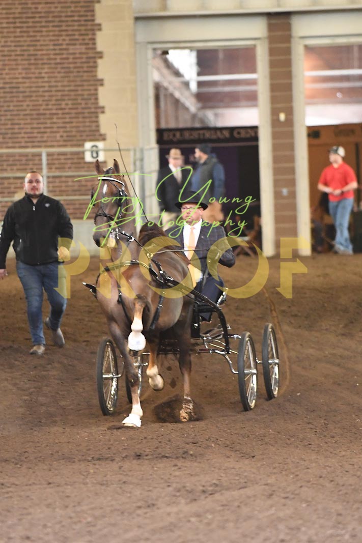 Thur. Morning 10:00am - Classes #01-20 - Horse Show Proofs - 2024 - D ...