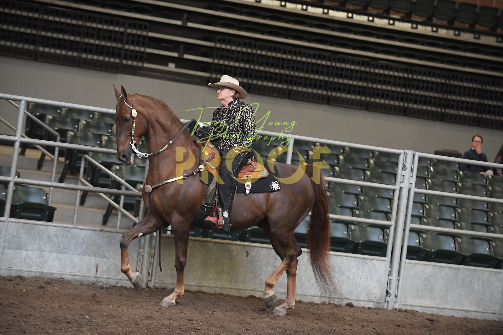 Fri. Morn 10:00am - Classes #43-61 - Horse Show Proofs - 2024 - D ...
