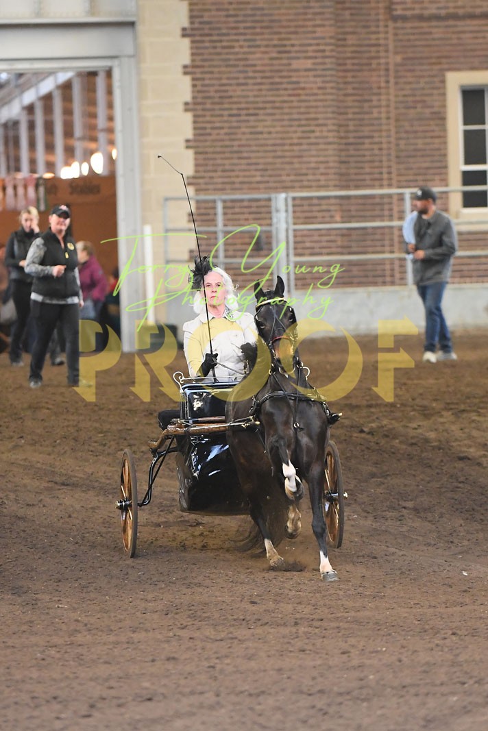 Fri. Evening - 6:00pm- Classes #62-81 - Horse Show Proofs - 2024 - D ...