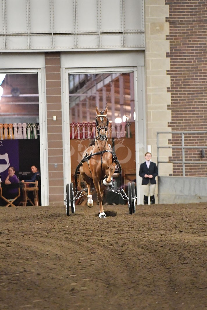 Sat. Evening 6:00pm - Classes #101-125 - Horse Show Proofs - 2024 - D ...