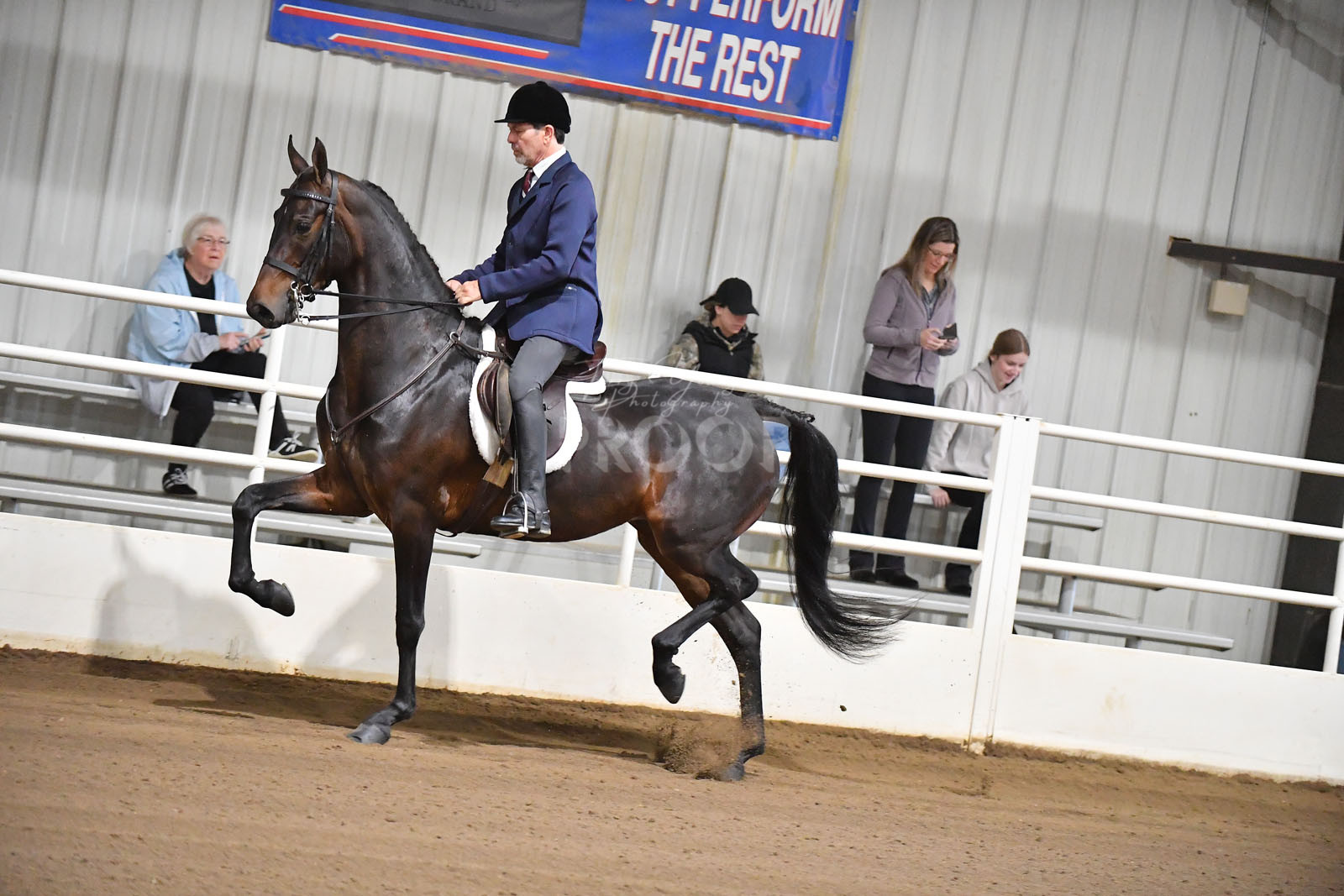 Sun. Morning - 9:00am - Classes #107-126 - 121.) ASB 5 Gaited Junior ...