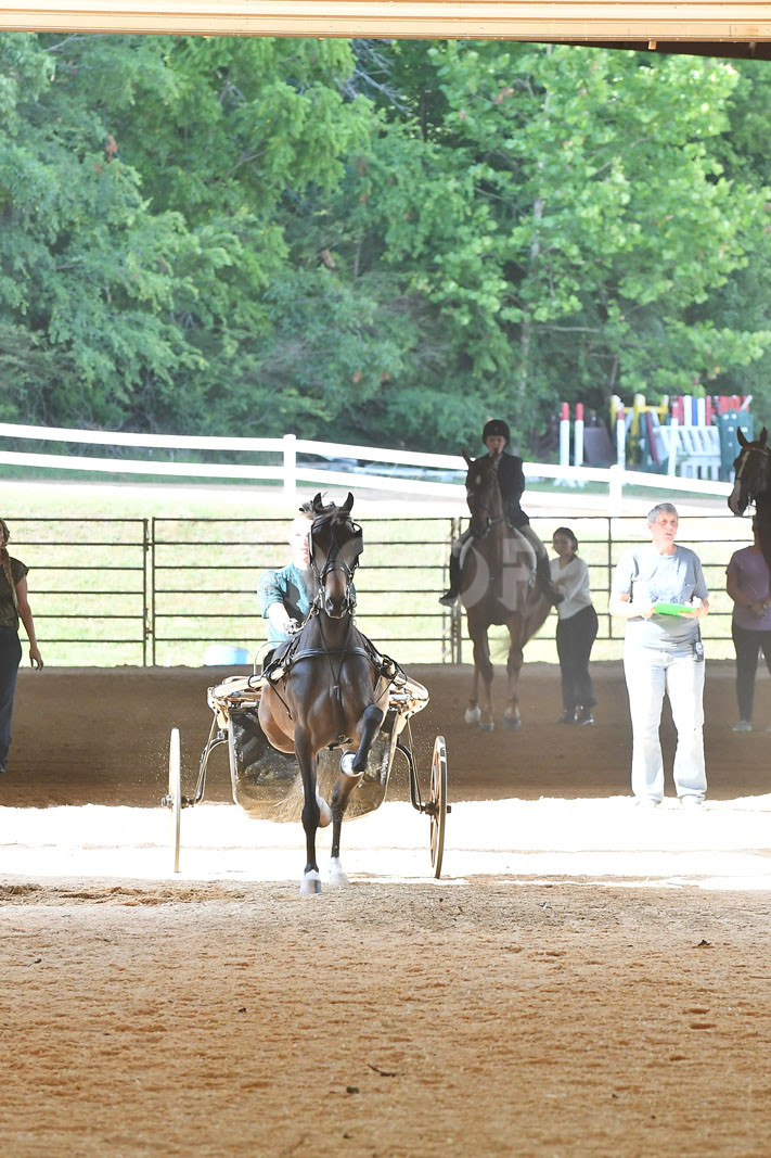 Thur. Evening 6:00pm - Classes #-01-19 - 02.) ASB Hunter Country ...