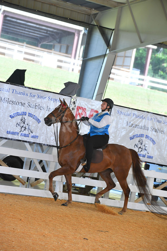Sat. Morn 10:00am - ACADEMY Classes #39-51 - Horse Show Proofs - 2024 ...