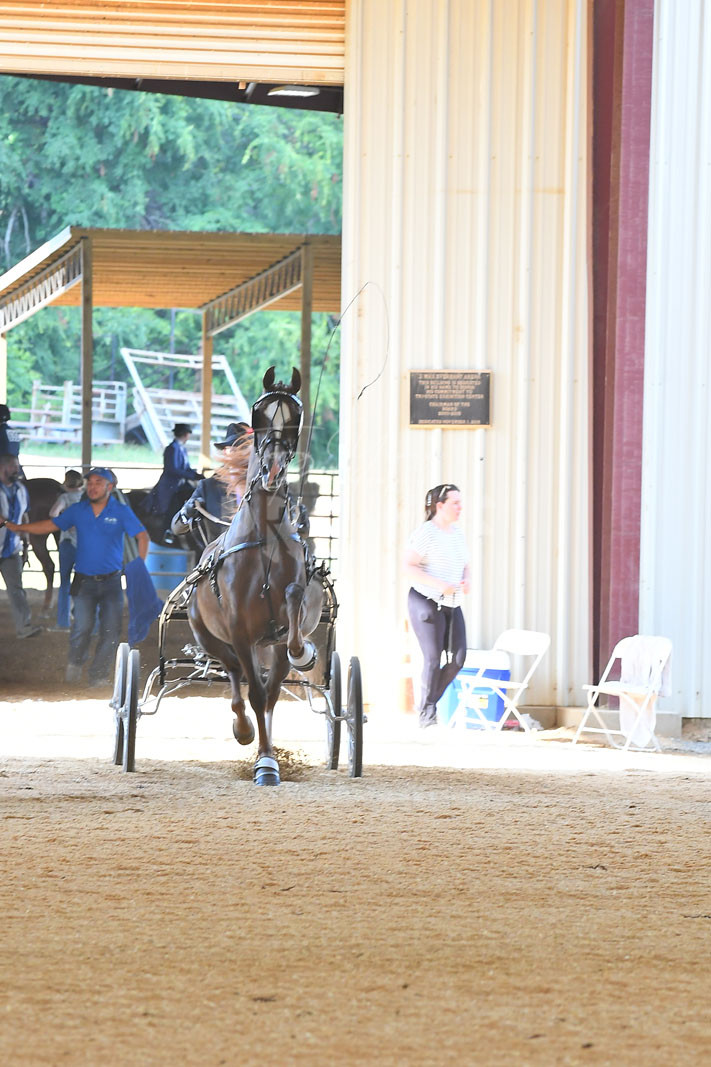 Sat. Evening 6:00pm - Classes #52-70 - Horse Show Proofs - 2024 - H ...