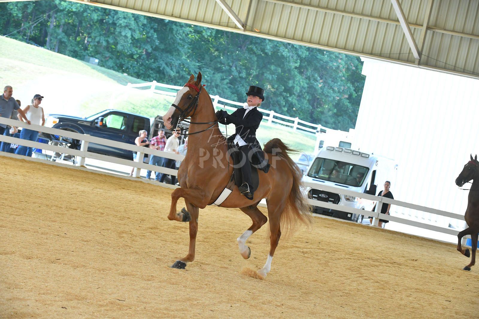 Fri. Evening - 6:00pm- Classes #78-100 - Horse Show Proofs - 2024 - J ...