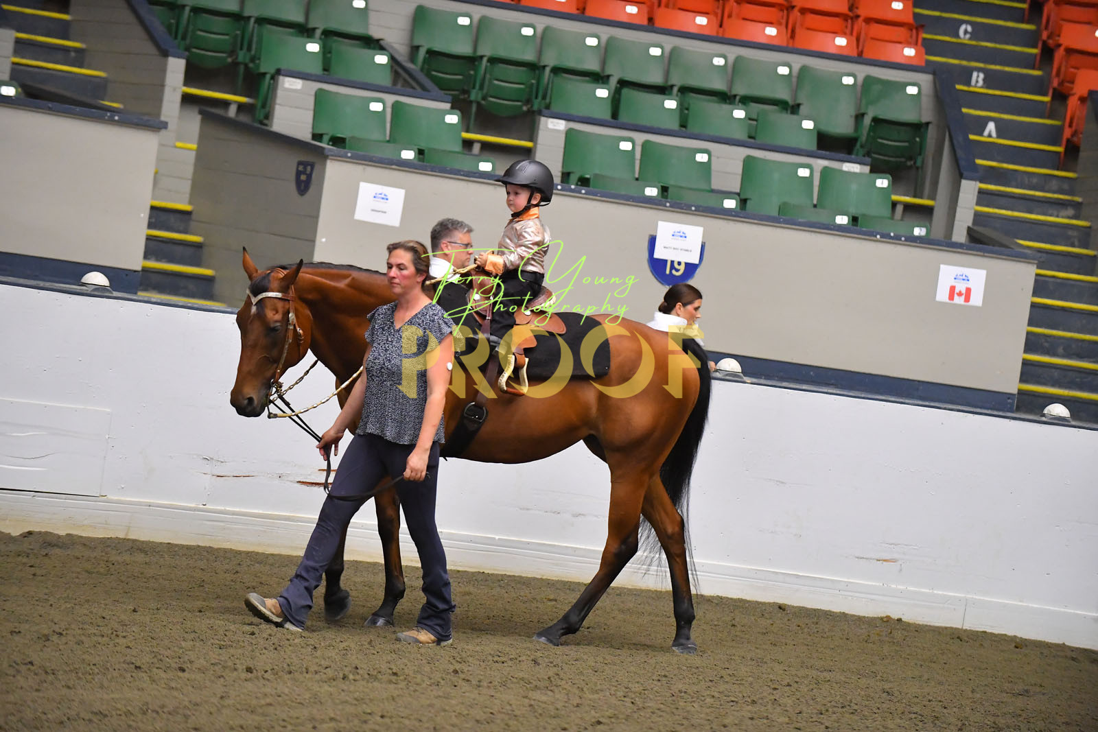 Sat. Morning TBA - Academy Classes #99-113 - Horse Show Proofs - 2024 ...