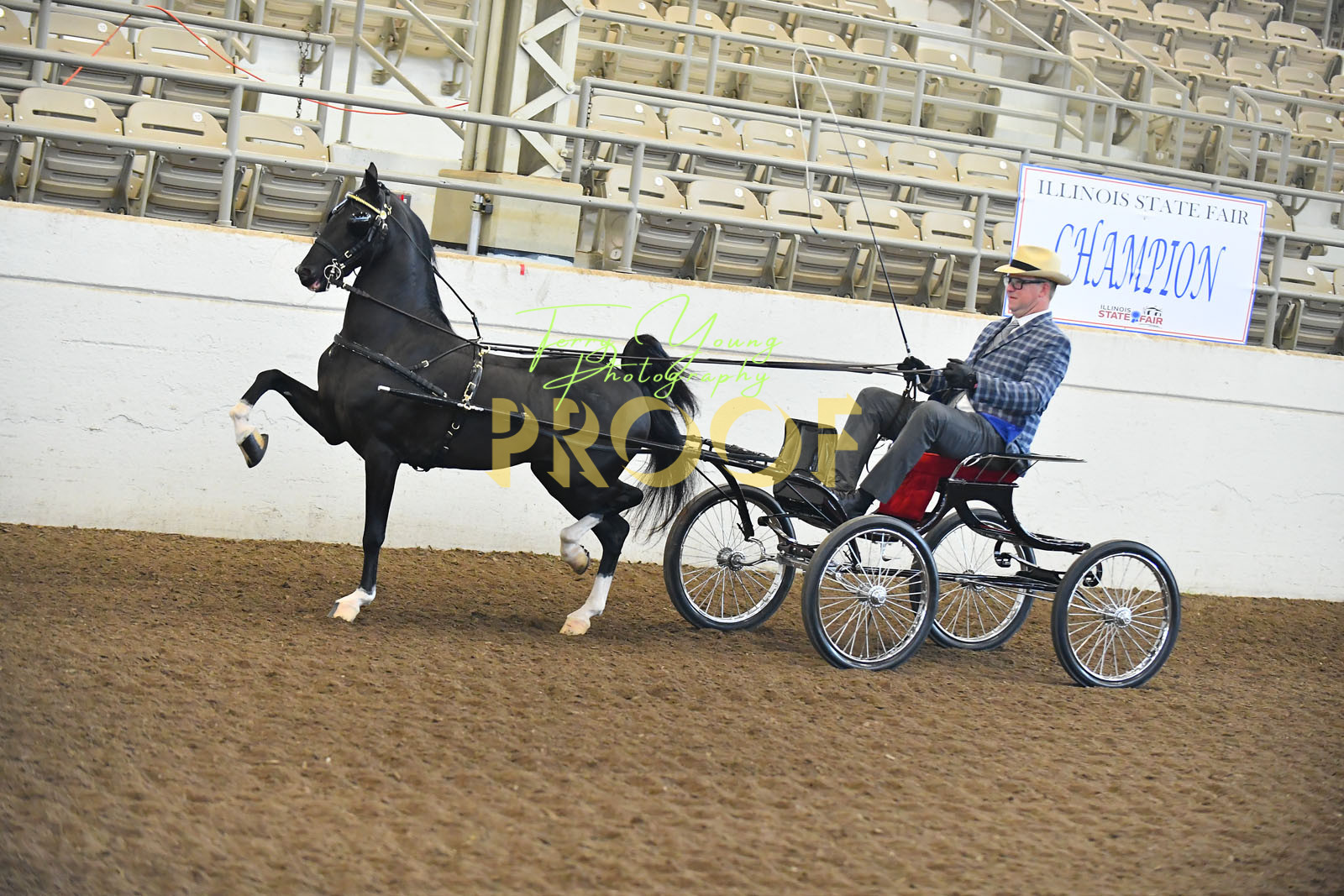 Mon. Evening 6:30pm - Classes #21-36, #324 - Horse Show Proofs - 2024 ...