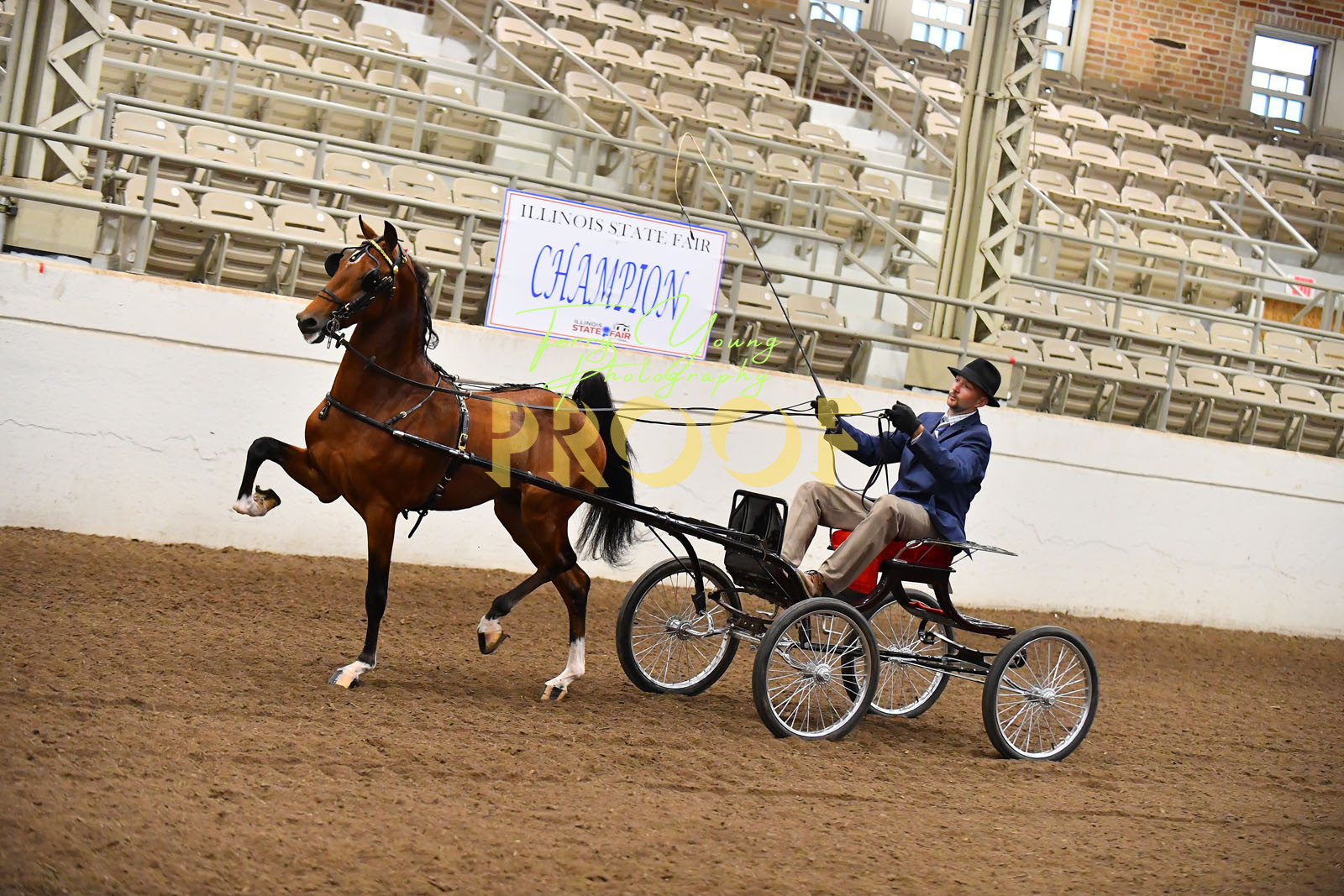 Tue. Evening 6:30pm - Classes #60-76, and #405 - Horse Show Proofs ...