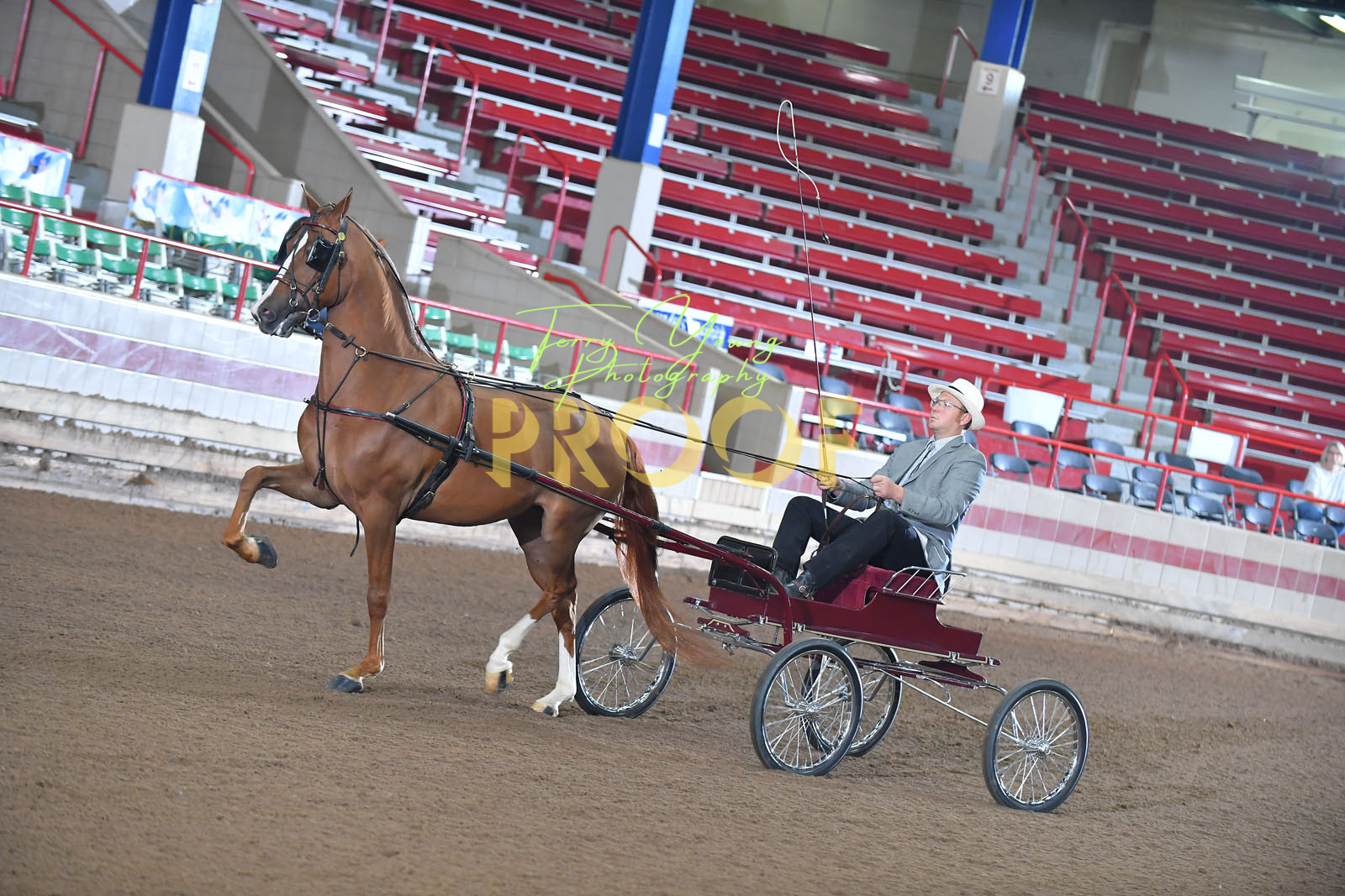 Fri. Morn 10:00am - Classes #100-116 - Horse Show Proofs - 2024 - R ...