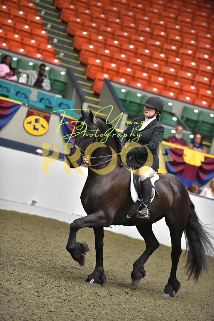 Fri. Noon - Classes #20-45 - Horse Show Proofs - 2024 - S.) The Big E ...