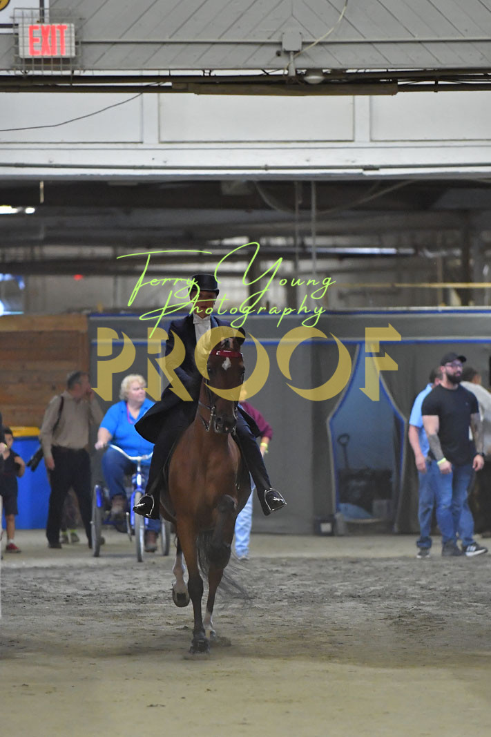 Fri. Evening - 6:30pm- Classes #46-71 - Horse Show Proofs - 2024 - S ...
