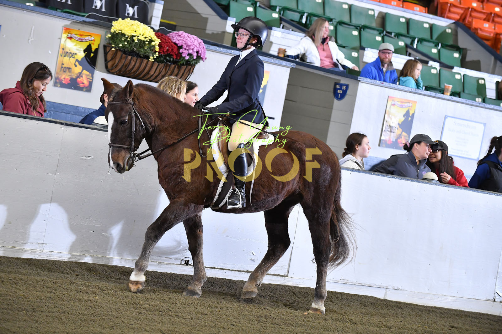 Sat. Evening 6:00pm - Classes #403-405 NEHC Hunt And Western Finals (25 ...