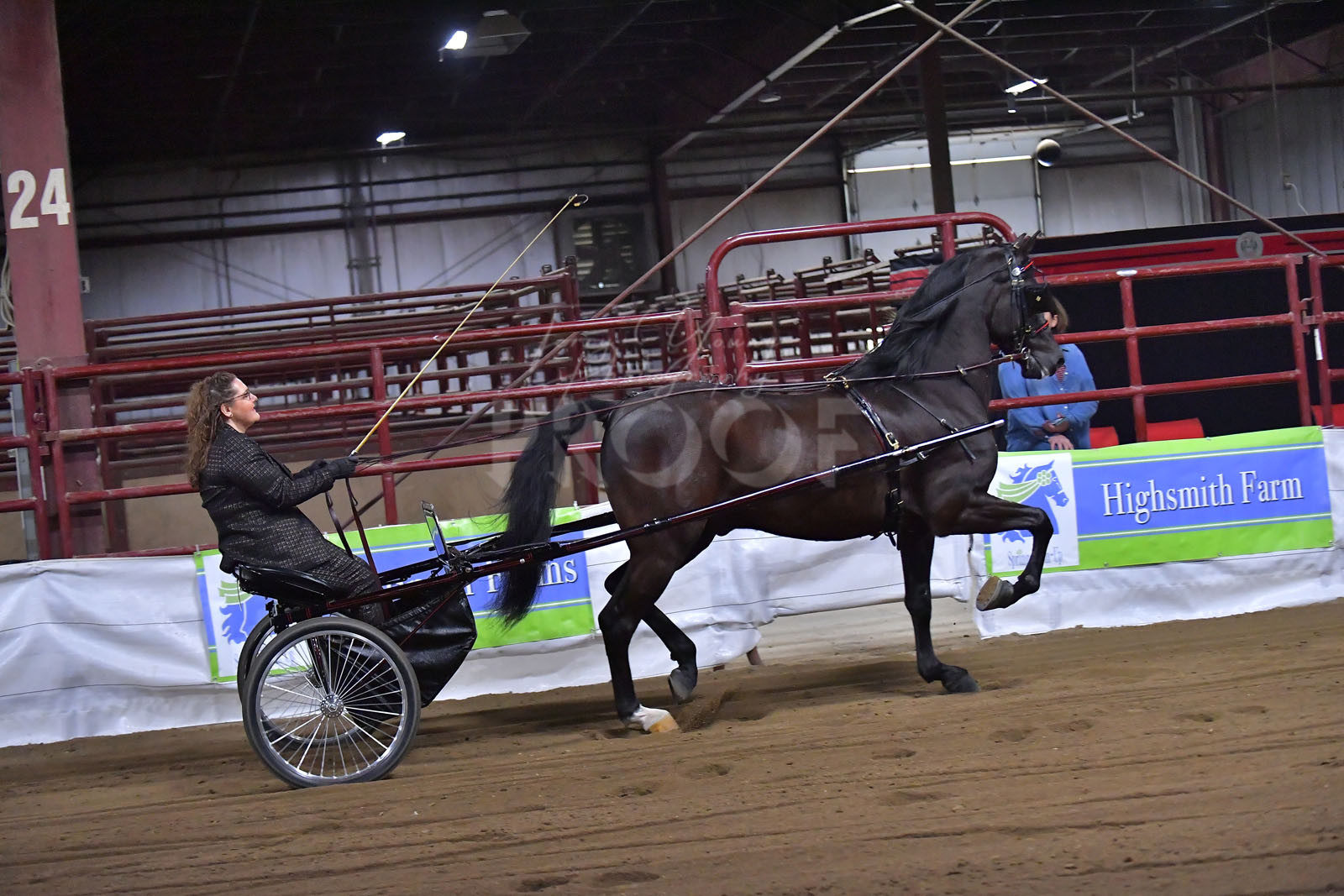 Fri. Noon 1:00pm - Classes #01-24 - Horse Show Proofs - 2025 - A.) IN. Spring warm Up Show ...