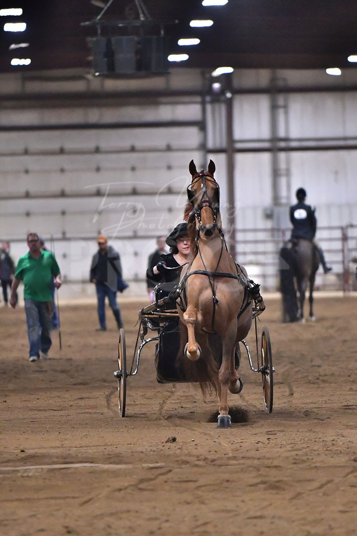 Fri. Evening - 6:30pm- Classes #25-47 - Horse Show Proofs - 2025 - A.) IN. Spring warm Up Show ...