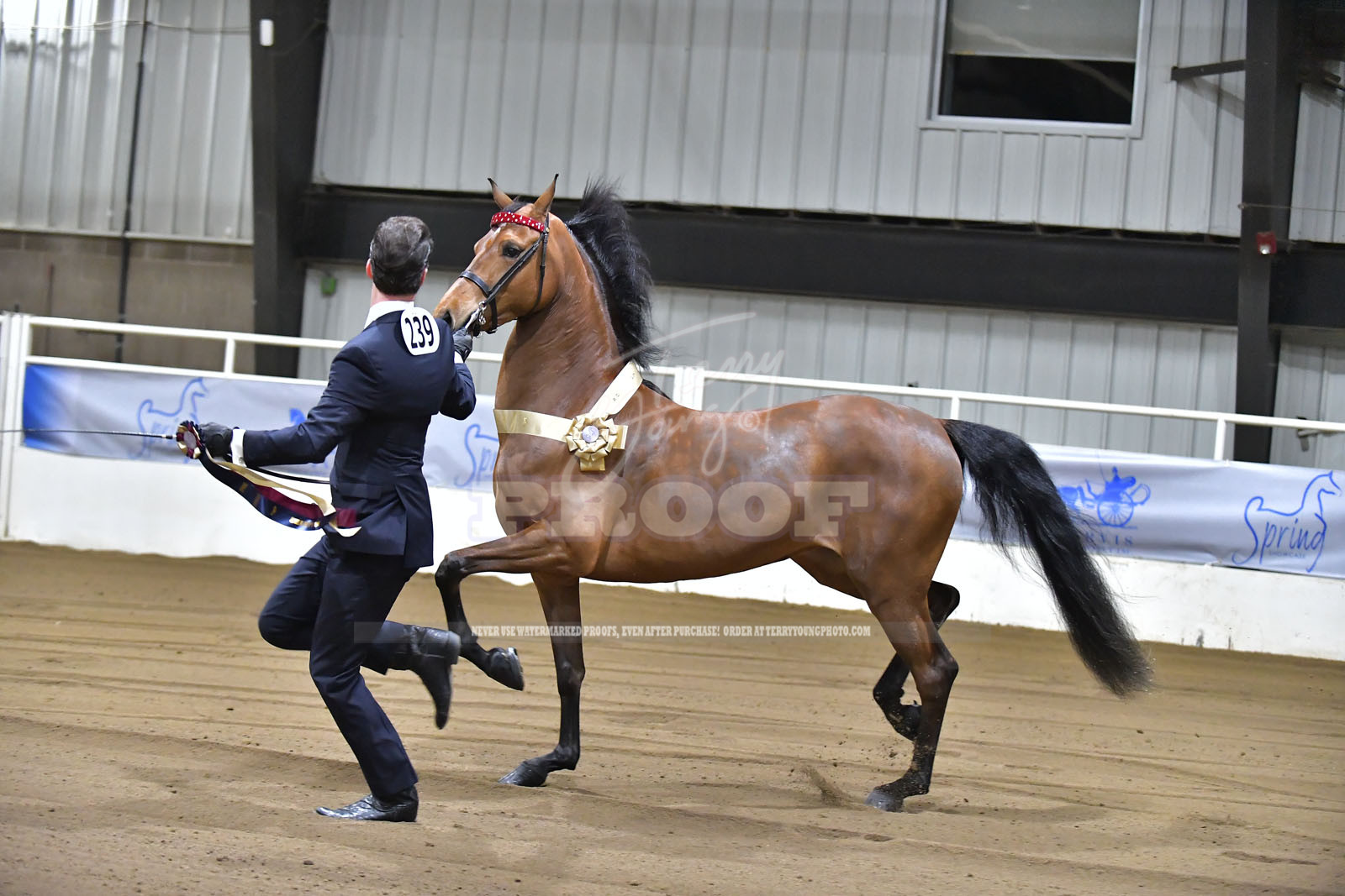 Sun. Morning Performance Classes Classes - 9:00am - Classes #101-107 ...