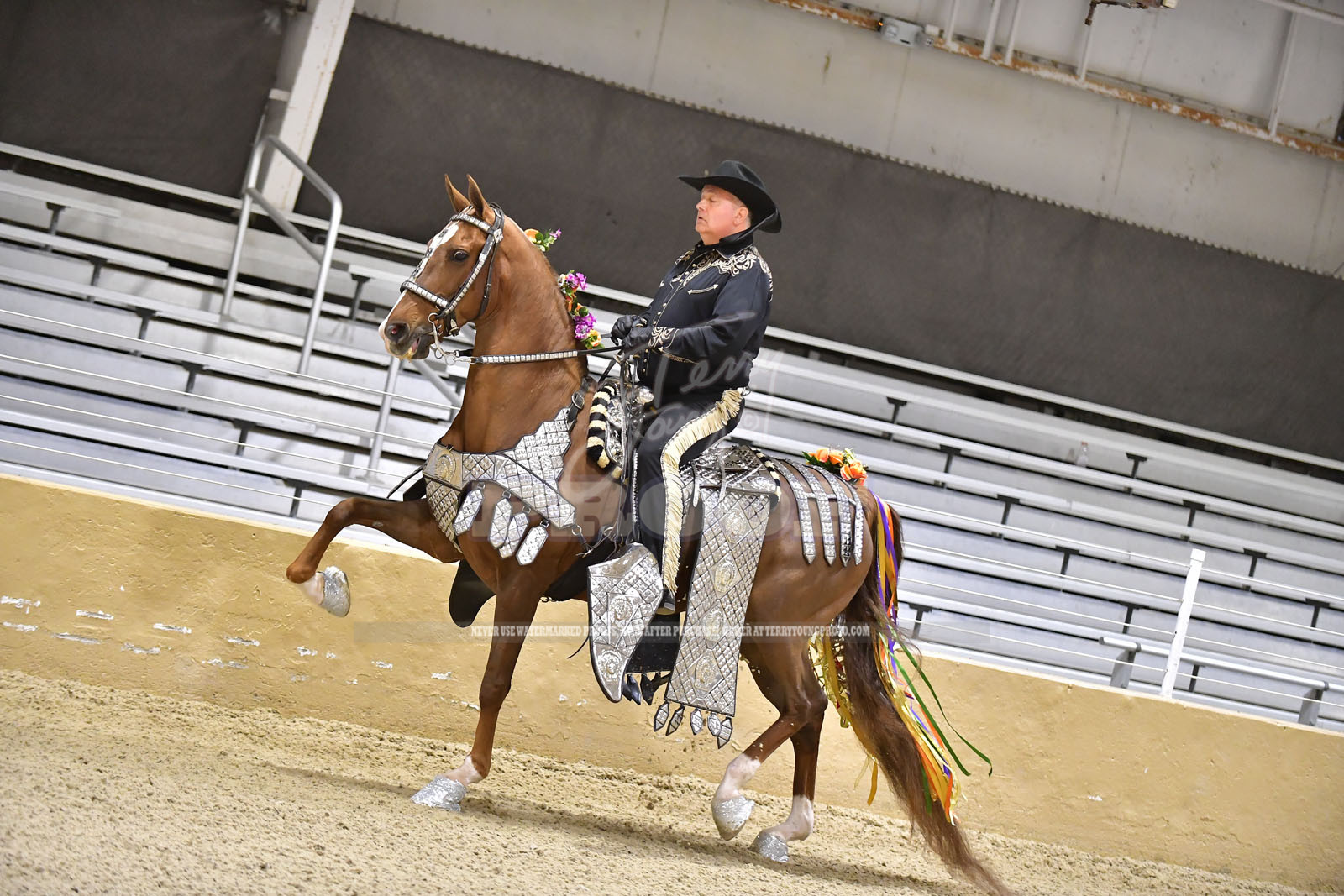 Thur. Evening 6:30pm - Classes #30-55 - Horse Show Proofs - 2025 - C ...