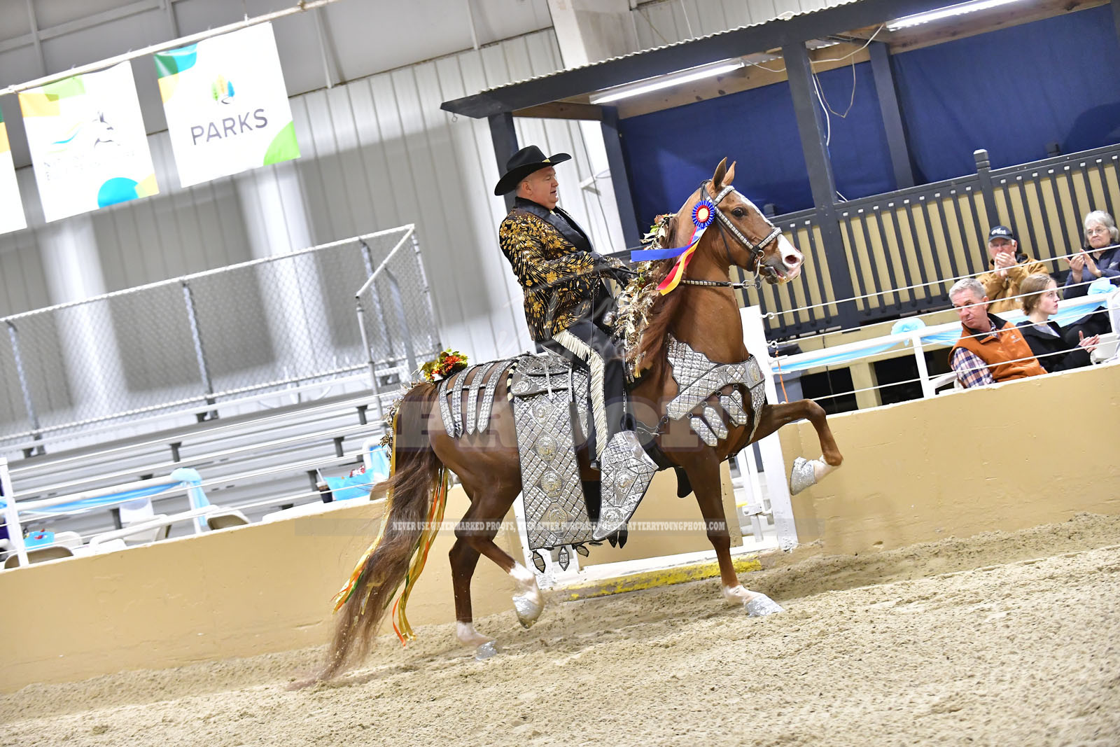 Fri. Evening - 6:30pm- Classes #79-94 - Horse Show Proofs - 2025 - C ...