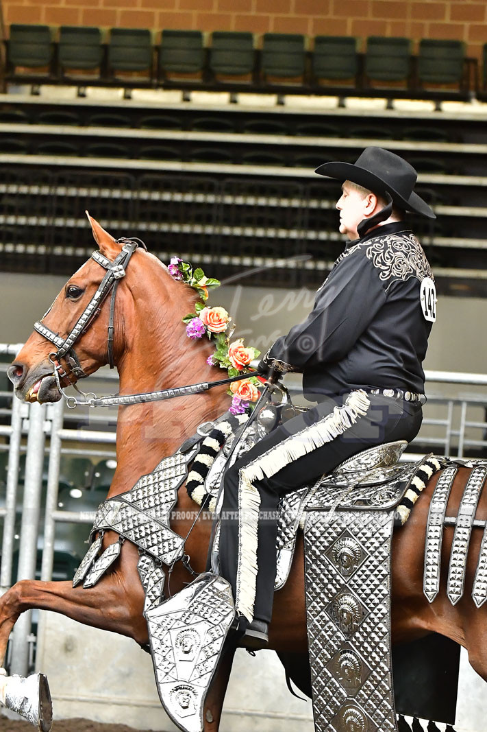 Thur. Evening 6:00pm - Classes #21-42 - Horse Show Proofs - 2025 - D ...